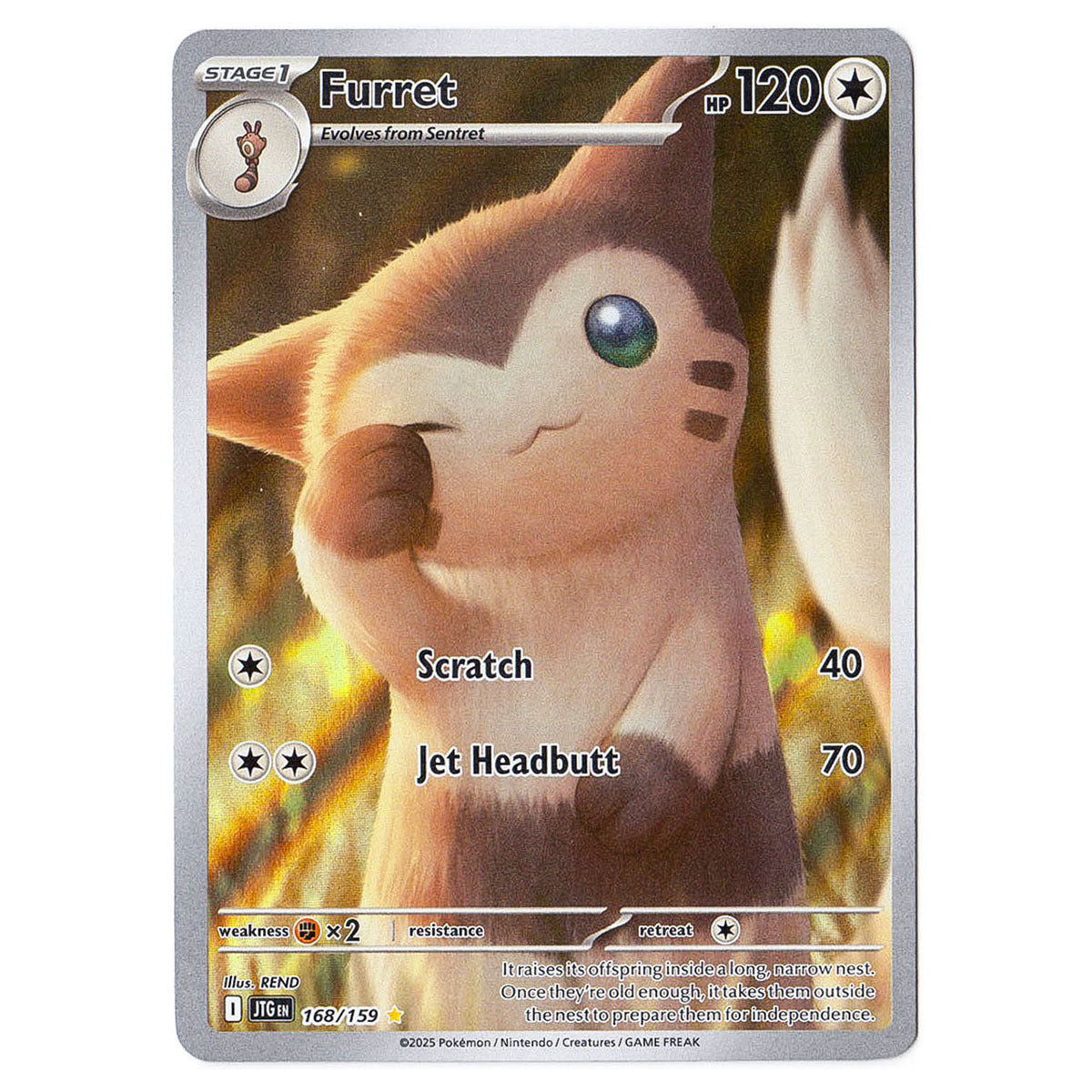 Furret #168/159 Pokémon SV09: Journey Together — Booghe