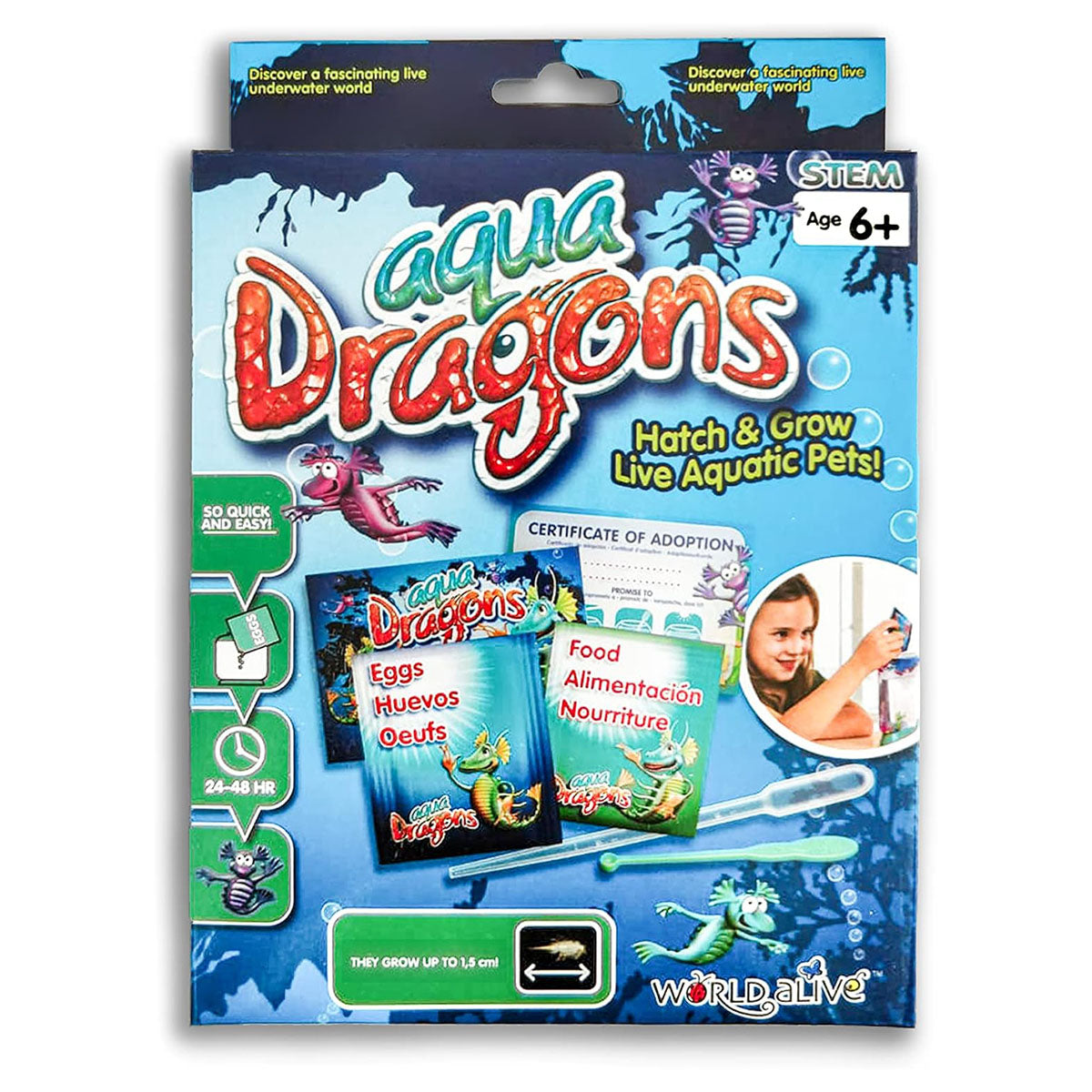 Aqua Dragons Pet Kit — Booghe