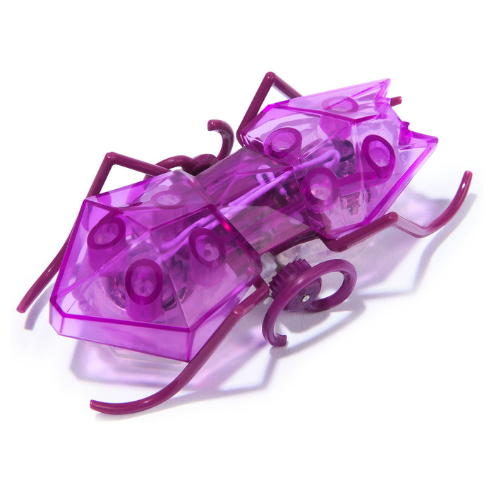 Hex Bots Micro Ant Purple Mini Robot Bug — Booghe