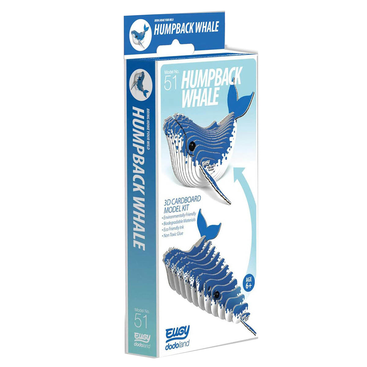 EUGY Humpback Whale 3D Cardboard Model Kit — Booghe